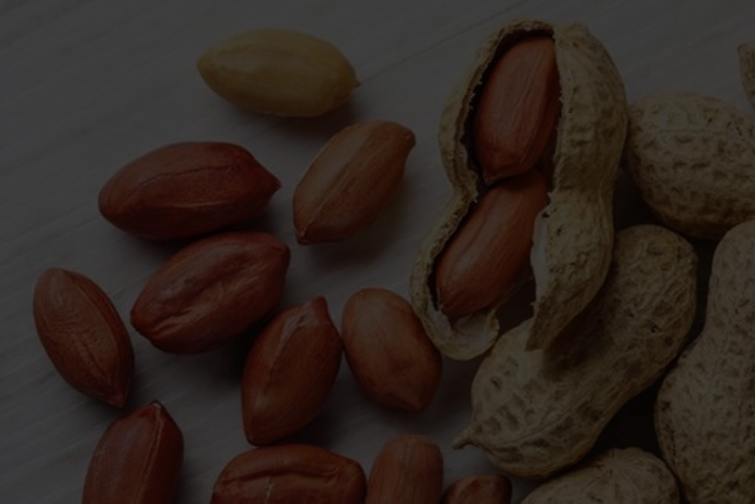 Ground Nuts | Peanuts | Peanuts Supplier | Ground Nuts for Sale